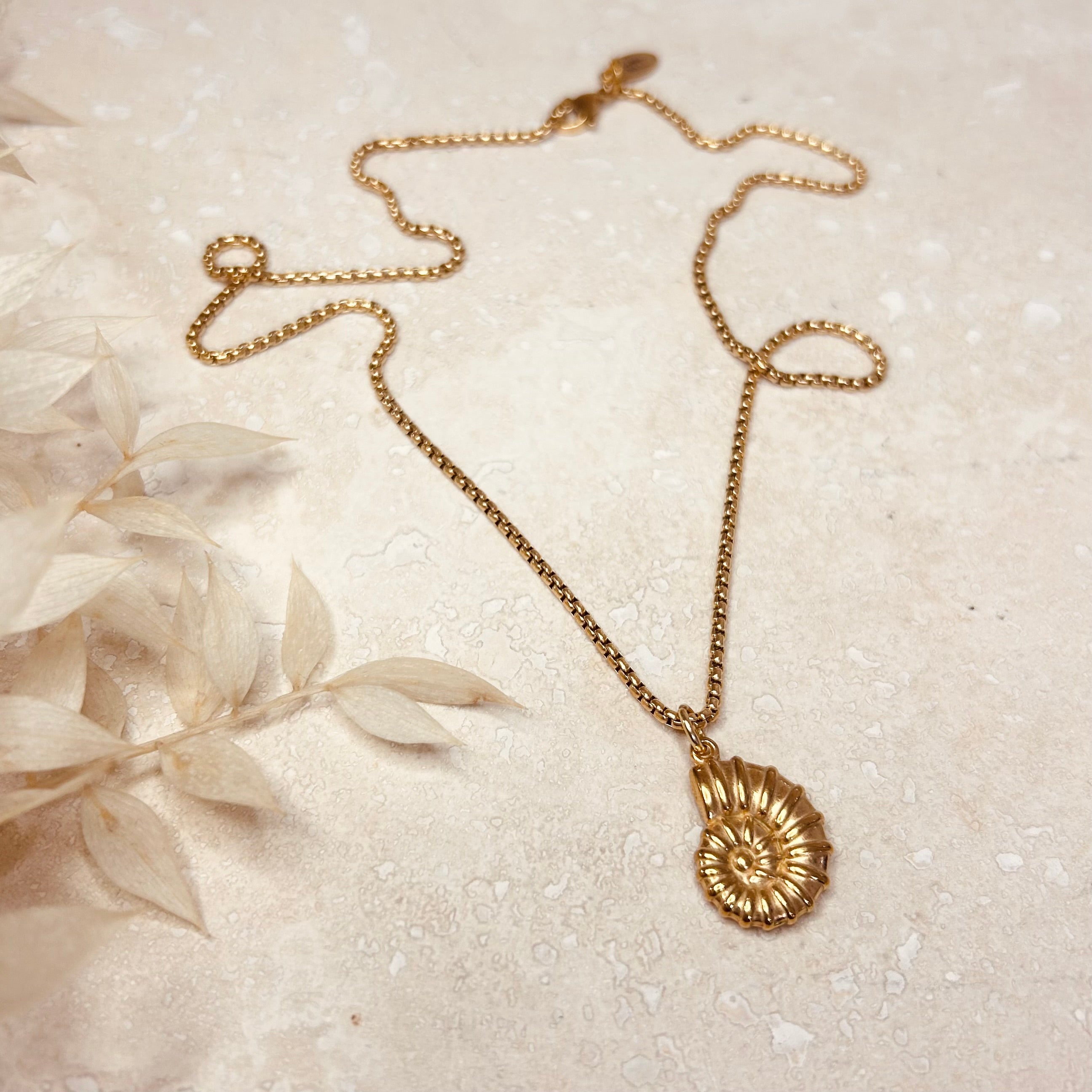 Everyday Shell Pendant Necklace – Little Nell Jewellery